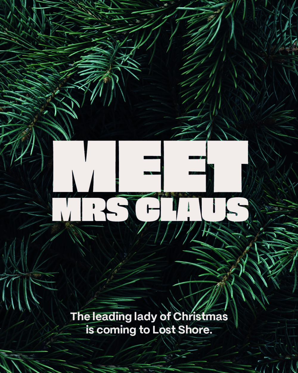 What’s On | Lost Shore Surf Resort